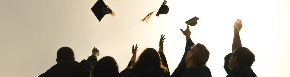 Alumnos-Profesores : Egresados